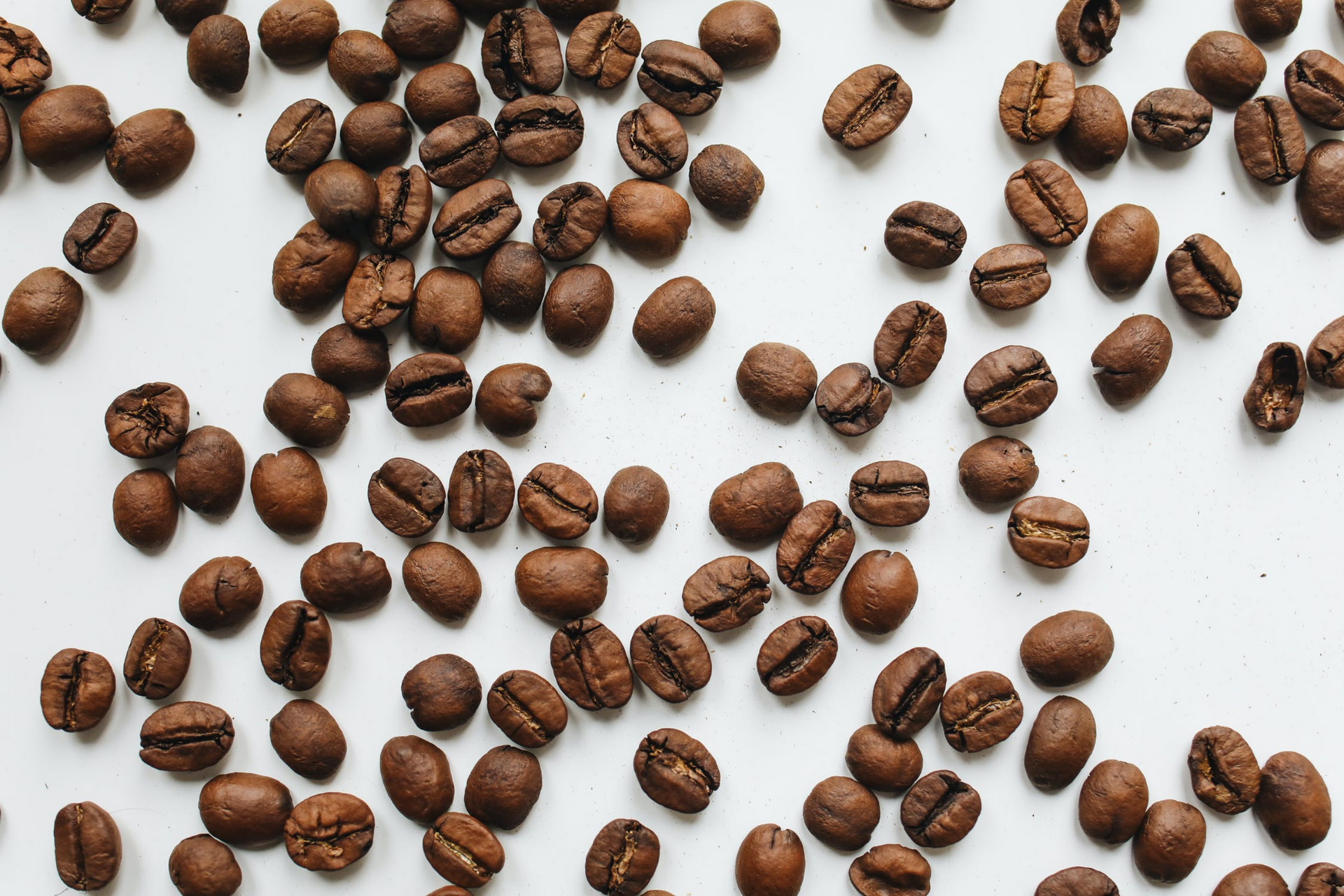 Roastmaster Reserve